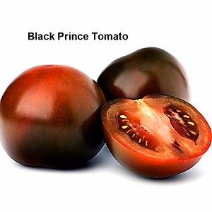Mixed Seeds! 30+ Black Tomato Seeds, Mix of 9 Varieties, Heirloom Non-GMO, Black Prince, Cherokee Purple, Black Cherry, from USA