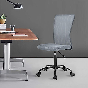 Ergonomic Desk Chair Mid Back Mesh Chair Height Adjustable Office Chair, Home Office Chair Modern Task Computer Chair No Armrest Executive Rolling Swivel Chair with Casters (Grey)