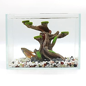 relaqcc Reptile Decor Aquarium Decorations Artificial Moss Resin Fish Tank Rocks Simulation Hollow Tree Leopard Gecko Trunk Accessories Aquarium View(Small3085)