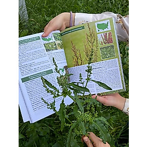 The Forager’s Guide to Wild Foods