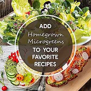 Basic Salad Mix Microgreens Seeds | Non-GMO Micro Green Seed Blend | Broccoli, Kale, Kohlrabi, Cabbage, Arugula, & More (1 Pound)