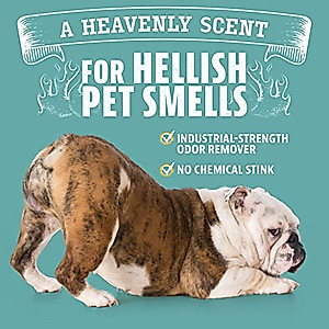 Angry Orange Pet Odor Eliminator for Home - 8oz Dog and Cat Pee Smell Remover for Carpet, Grass, Tile and Furniture - Citrus Concentrate, Makes 128oz of Liquid