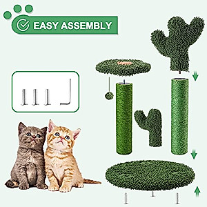 T2Y Cat Scratching Post - Cactus Cat Scratcher Tower with 3 Scratch Post and Dangling Bell Ball, Full Wrapped Premium Natural Sisal Scratching Post for Indoor Cats - Medium