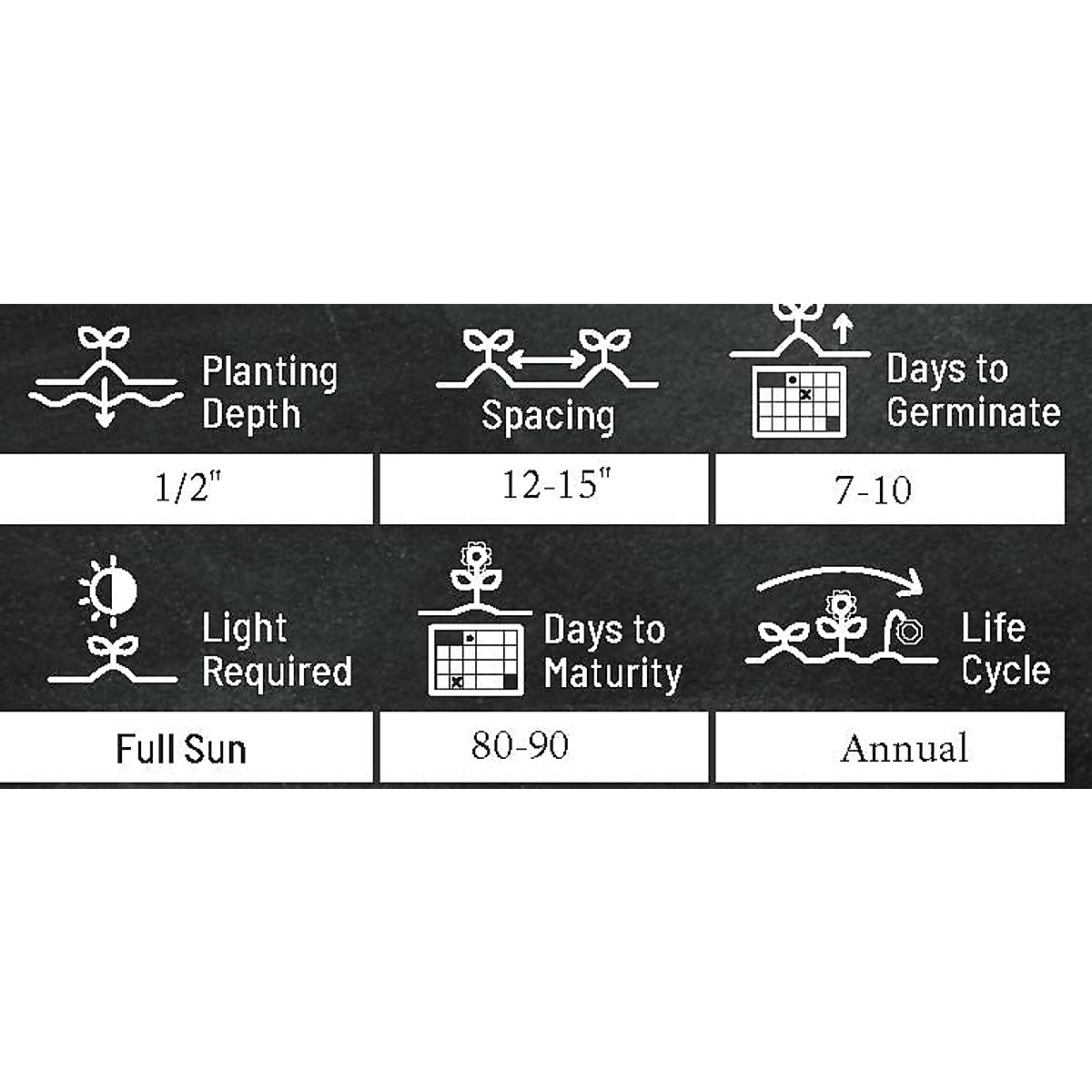 Mexican Sunflower Seeds for Planting – Plant & Grow Heirloom Mexican Sunflowers in Home Outdoor Garden – Planting Instructions for Vibrant Blooms – Great Gardening Gift, 1 Packet