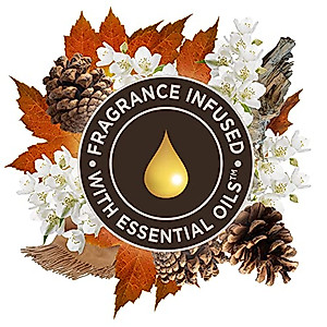 Glade Candle Jar, Air Freshener, Cashmere Woods, 3.4 Oz