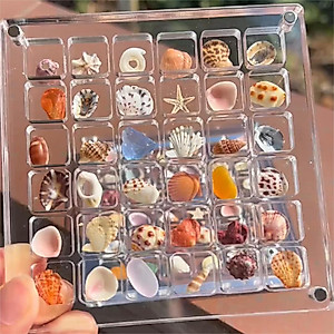 XronSlute Acrylic Magnetic Seashell Display Box,DIY Seashell Display Box,Clear Storage Box for Seashell,Gemstones,Nail,Jewelry (1Pc 36 Grids Small)