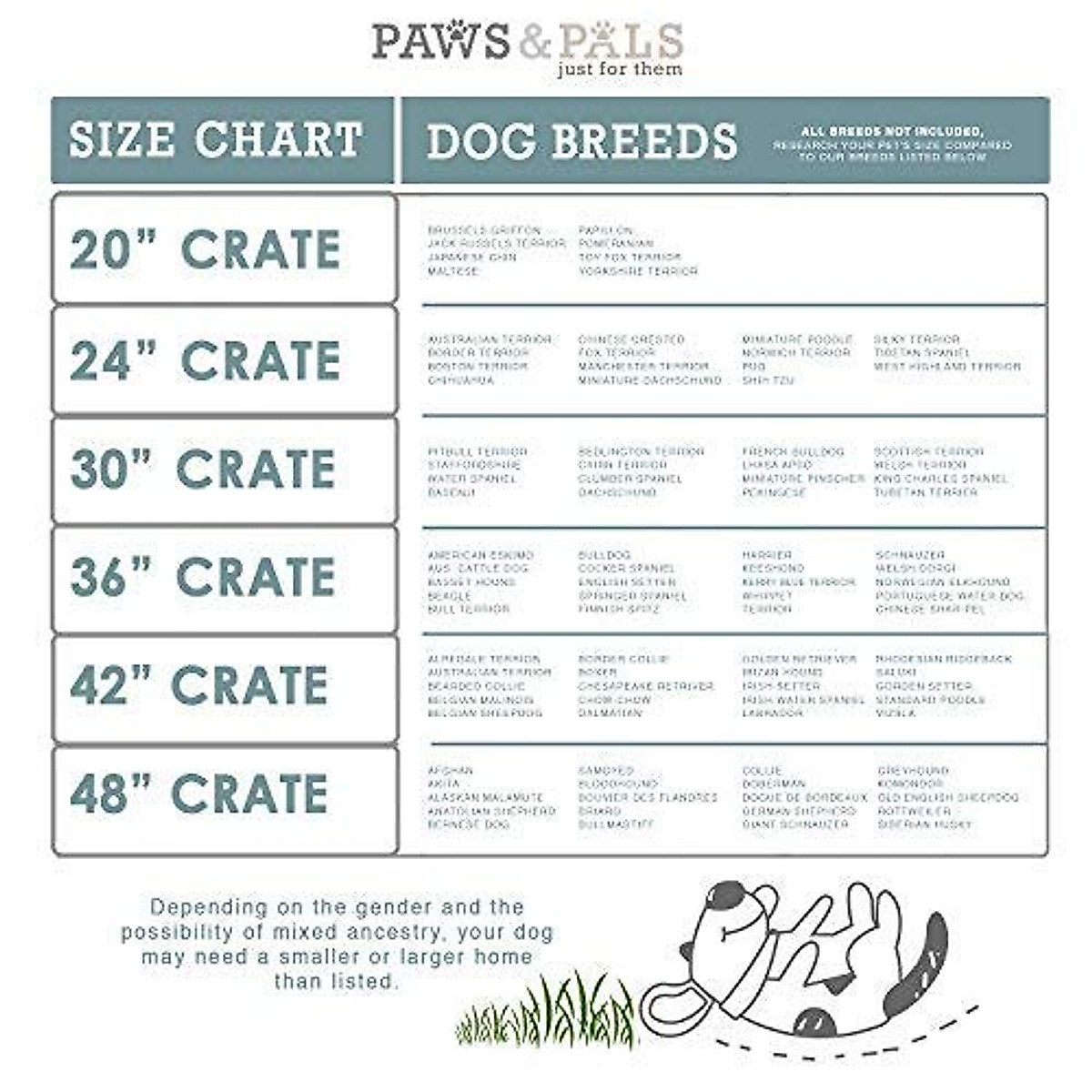 Dog Crates for Extra Large Dogs - XL Dog Crate 42" Pet Cage Double-Door Best for Big Pets - Wire Metal Kennel Cages with Divider Panel & Tray - in-Door Foldable & Portable for Animal Out-Door Travel