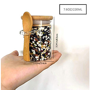 Livejun 8 oz Airtight Mini Glass Jars with Bamboo Lids and Bamboo Spoons , Spice Jars Small Food Storage Containers for Kitchen, Bathroom, Home Decor Set of 8