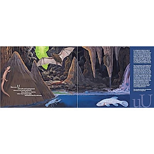 S is for Show Me: A Missouri Alphabet (Discover America State by State)