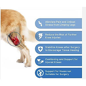Dog Knee Brace for Torn ACL Hind Leg - Adjustable Leg Support for Hip Dysplasia, Dog Arthritis, Inflammation, Luxating Patella - Comfortable and Durable Dog Leg Braces for Back Leg - Black (Small)