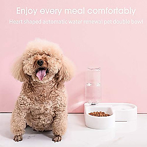 Bibabala Automatic Pet Feeder and Water Dispenser, 2 in 1 Feeder Bowl with Water Bottle Detachable, Fit for Small Dogs and Cats Kitten Puppy Rabbit Bunny(White)