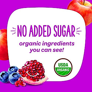 Happy Kid Organic Superfoods Twist Apple Blueberry Pomegranate, 3.17 Ounce Pouch (Pack of 16) Baby Toddler Kid Snack, Resealable, No Added Sugar Non-GMO Kosher (Packaging May Vary)