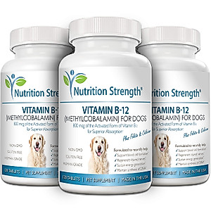Nutrition Strength Vitamin B12 for Dogs Plus Folate & Calcium, Support the Nervous System & Blood Cell Formation, Help Sustain Cellular Energy Generation & Maintain DNA Synthesis, 120 Chewable Tablets