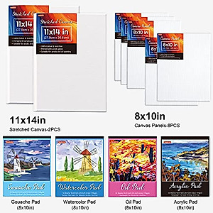 170 Pcs Artist Painting Set, Shuttle Art Deluxe Art Set with Paint, Aluminum and Wooden Easels, Canvas, Paper Pads, Brushes and Other Art Supplies, Complete Painting Kit for Adults, Kids and Artists