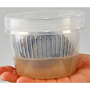 HOME-X Clear Plastic Storage Container with Removable Strainer and Lid, Small Food Storage Container, 1-Cup Capacity, 4 ½” L x 3 ½” W x 3 ¼” H, Opaque