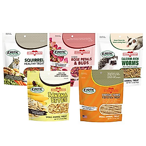 Squirrel Treat Bundle - Natural Healthy Assortment - Fruits, Veggies, Nuts, & Chews - Flying Squirrels, Ground Squirrels, Tree Squirrels, Chipmunks, Groundhogs, Prairie Dogs & Other Rodents