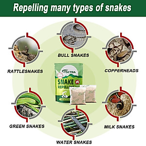 EQCFSATY Snake Repellent for Yard Powerful, Snake Repellent Pet Safe,Snake Away Repellent for Outdoors, Backyard Snake Repellent Outdoor, Snake Repellent Indoor, Snake Deterrent Outdoor -8P, Green