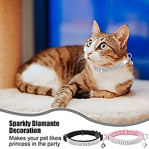 EXPAWLORER Soft Velvet Safe Cat Collars for Girl Cats -2 Pack Rhinestones Bling Diamante Adjustable Collars - Cat Collar Breakaway with Bells for Boy Cats Kitty and Small Dogs