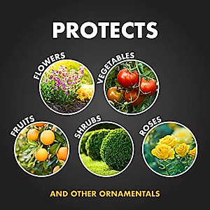 Spectracide Malathion Insect Spray Concentrate, 32 oz, Pack of 1