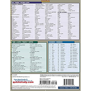 Spanish Legal Conversation (Quick Study Language)