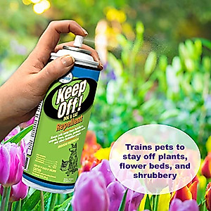 Four Paws Keep Off! Dog and Cat Repellent Outdoors & Indoors Spray 10 Ounces
