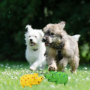 HCHYEY Pig Squeaky Dog Toy, 2 PCS Interactive Rubber Dog Chew Toy - Durable Latex Spot Grunting Pig Toys That Oink for Small Medium Large Dogs (Yellow, Green)