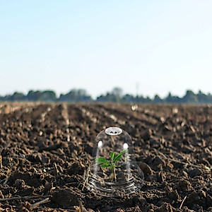 PATIKIL 3.4" Plant Humidity Dome, 5Pcs Round Plastic Garden Cloche Dome Plant Cover Reusable for Outdoor Frost Freeze Protection Mini Greenhouse, Height 3.3"