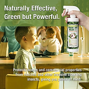 EcoRaider Roach Killer and Repellent (16oz), Fast Kill & Lasting Repellency, Green & Non-Toxic