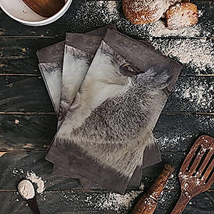 CirCleO Cotton Kitchen Towels 2 Pack, Koala Bear Australia Wild Animals Kitchen Dish Towels, Absorbent Dish Cloths/Bar Towels/Tea Towels/Hand Towels with Hanging Loop, Ultra Soft