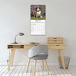 Boxer Dog Calendar - Dog Breed Calendars - 2022 - 2023 wall calendars - 16 Month by Avonside