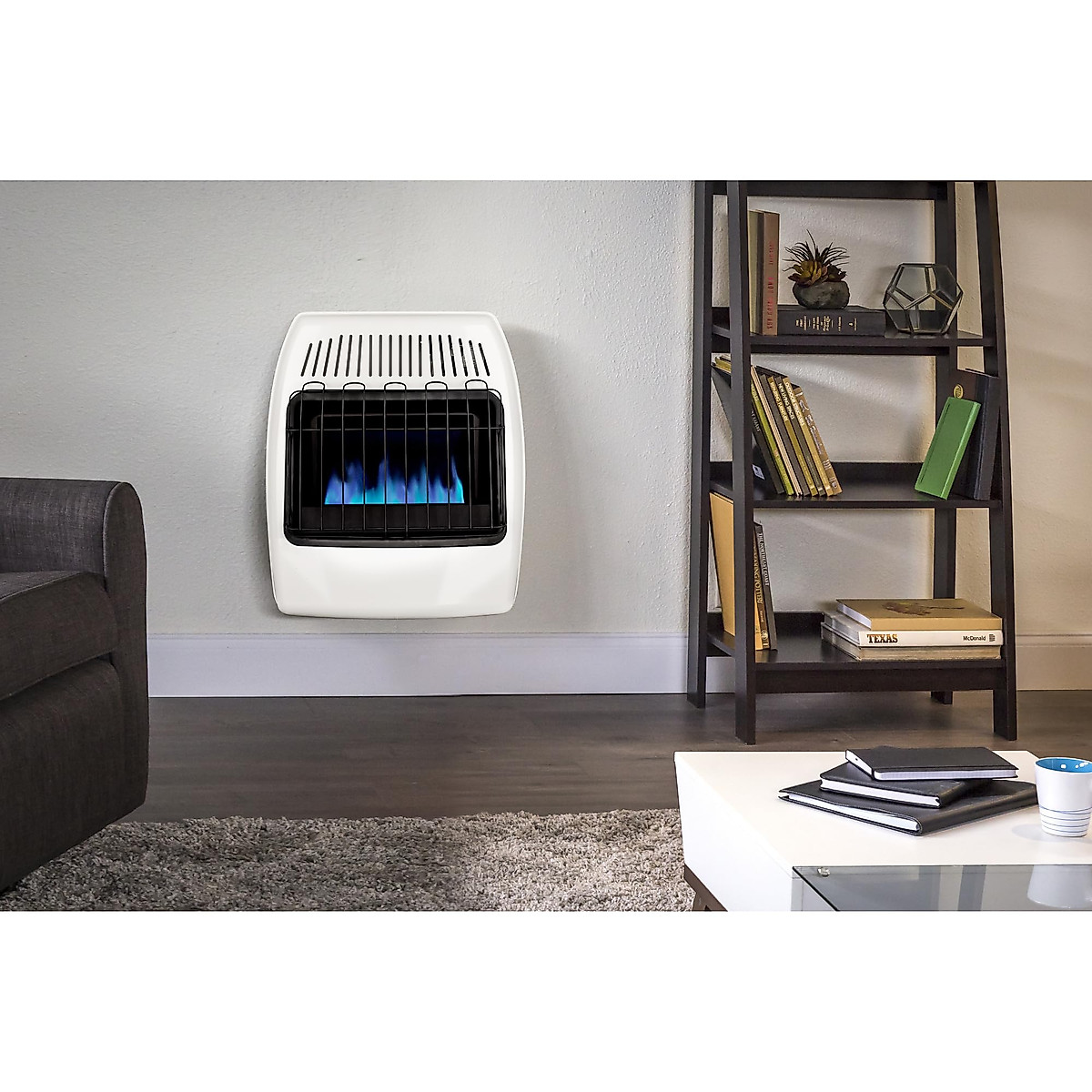Dyna-Glo 20,000 BTU Natural Gas Blue Flame Vent Free Wall Heater, White