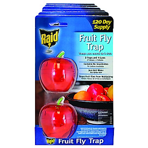 Raid Fruit Fly Trap Bundle Fruit Fly Traps for Kitchen, Fly Trap Indoor Use, Fly Traps, Fly Killer, Fly Catcher for Food Prep Areas, Gnat Trap Indoor Use (6 Pack)' (6 Pack, 12 Total Traps)