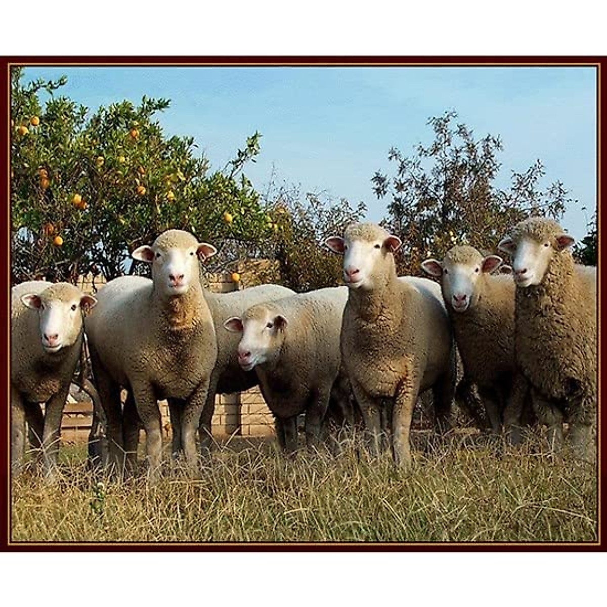 CafePress Ewephoric Sheep Tapestry Image Mugs Ceramic Coffee Mug, Tea Cup 11 oz