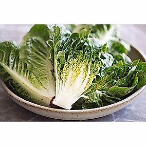 "Little Gem" Butterhead Lettuce Seeds for Planting, 1000+ Heirloom Seeds Per Packet, (Isla's Garden Seeds), Non GMO Seeds, Scientific Name: Lactuca Sativa, Great Home Garden Gift