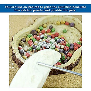 Mivofun 2PCS Natural Cuttlebone for Tortoise Turtles Snails Birds Cockatiels Parakeets Budgies Reptiles Small Animals(4"-4.5",Small)