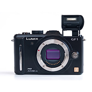 Panasonic Lumix DMC-GF1 12.1MP Micro Four-Thirds Interchangeable Lens Digital Camera Body (Black)