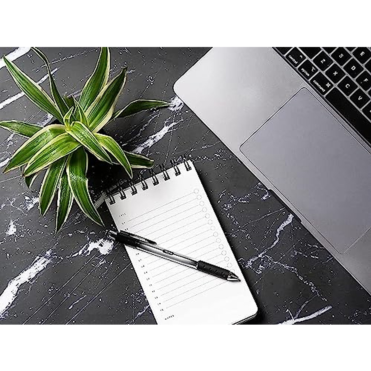 Altman Plants Live Houseplants (12PK), Indoor Plants for Delivery Prime, Live Plants and Gardening Gifts for Plant Lovers, Planters for Indoor Plants with Potting Soil, Live House Plants Indoors Live