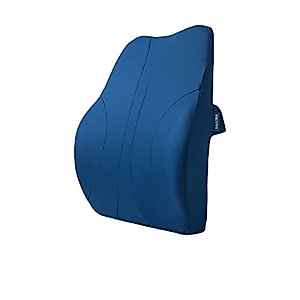 Car Seat Cushion Memory Foam Back Cushions Office Chair Cushions Compatible with Pregnant Women Cushion Compatible with Back (Color : Svart, Specification : Lumbar Spine)