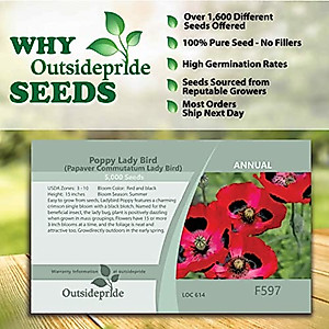 Outsidepride Papaver Commutatum Lady Bird Red Corn Poppy Wild Flowers - 5000 Seeds
