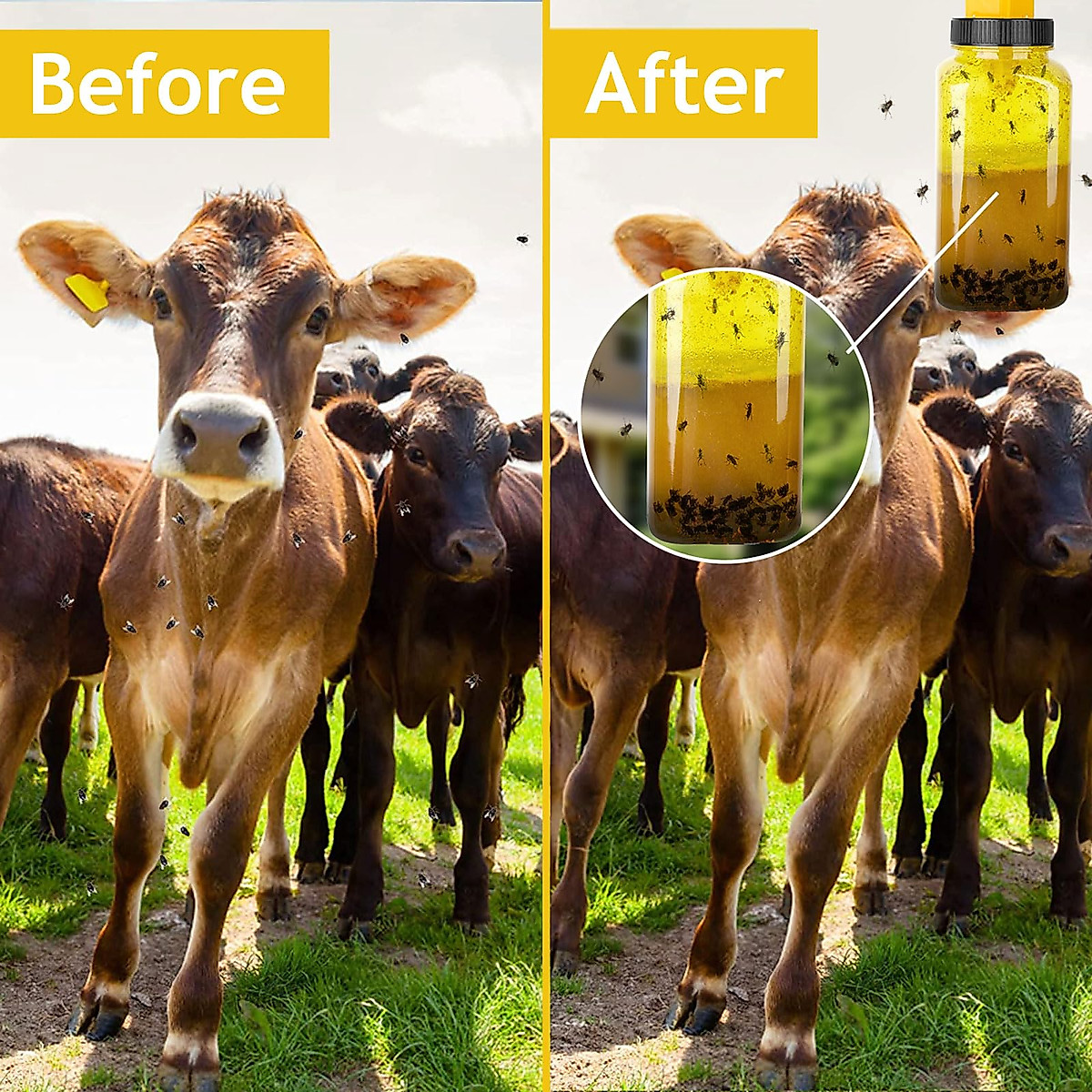 Dwcom 2 Pack Reusable Fly Traps Outdoor with Fly Bait Refill, Bug Catcher and Ranch Fly Hunter Insect Repellent Killer for Stable Horse, Garden