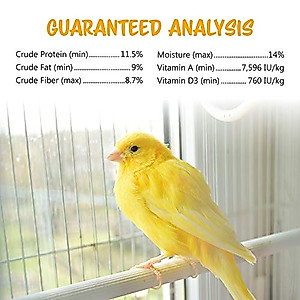 Vitakraft Canary Egg & Honey Treat Sticks 2 Pack, 1.4 Ounce