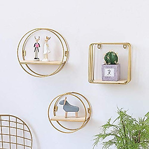 Hacoly Wall Mounted Round Gold Floating Shelves Storage Shelves for Wall Bedroom Living Room Bathroom Kitchen and Office, 25x9cm