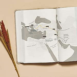 CSB She Reads Truth Bible, Champagne Gold LeatherTouch, Black Letter, Full-Color Design, Wide Margins, Journaling Space, Devotionals, Reading Plans, Single-Column, Easy-to-Read Bible Serif Type