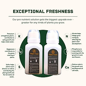 HORTUZZ Hydroponics Growing System, 8 Pods Indoor Herbs Garden with LED Grow Light for Plants, Smart Home Countertop Gardening for Lettuce Tea Cilantro Tomato Rosemary (Novo 8 Black)