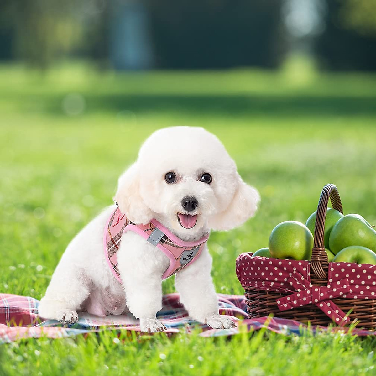 EXPAWLORER Classic Plaid Puppy Harness - Small Dog Harness and Leash Set - Dog Collar and Leash Set with AirTag Holder, Soft Padded Step in Dog Vest Harness No Pull Reflective for Outdoor, Pink S