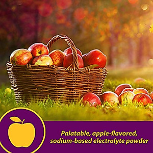 Horse Health Apple-Dex Apple Flavored Electrolytes for Horses, Replaces minerals lost during exercise, under stress or extreme weather conditions, 5 pound