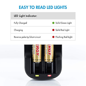 Tenergy TN269 2-Channel Li-ion 18650 18500 14500 Fast Battery Charger, 1A Charging Rate