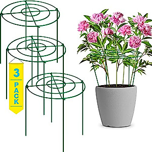Peony Support, Peony Cage (3 Pack) Extra Large 18” Wide x 24” Height Peony Ring with 4 Legs, Plant Supports for Outdoor Plants, Peonies Cages