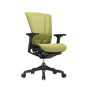 Raynor Nefil Elite Smart Motion Mesh Chair