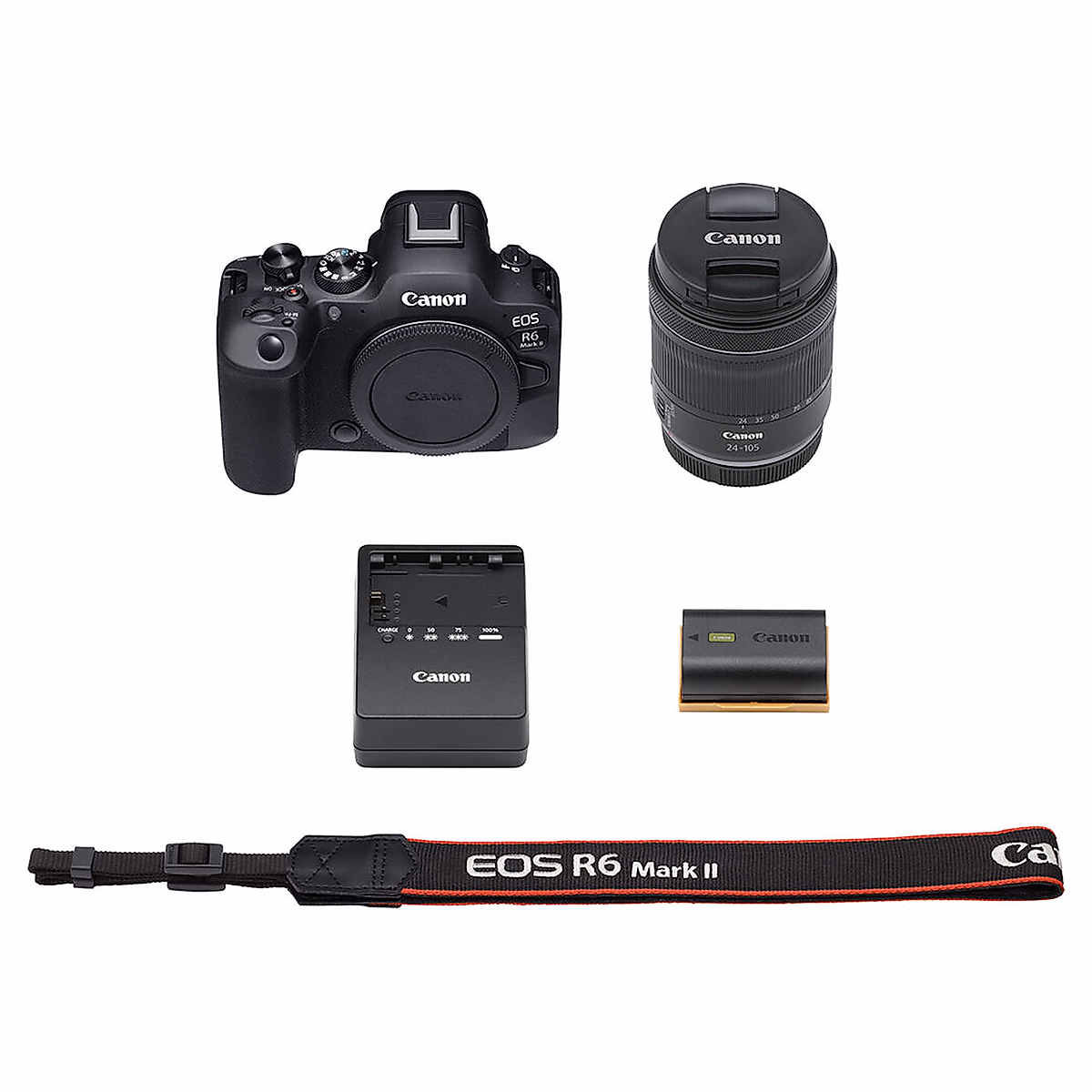 Canon EOS R6 Mark II Mirrorless Camera with 24-105mm Lens + 420-800mm Super Telephoto Lens + 100S Sling Backpack + 64GB Memory Cards, Professional Photo Bundle (42pc Bundle) (Renewed)